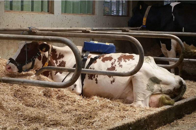 Energy alternatives: Eight of the most exciting for the future