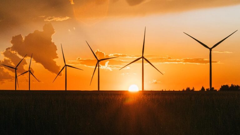 Walmart signs agreements with Engie for 366MW of wind energy