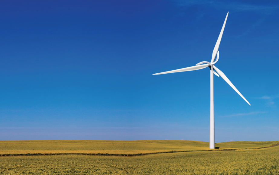 Biomimicry: powering the world with lessons from nature - Power Technology