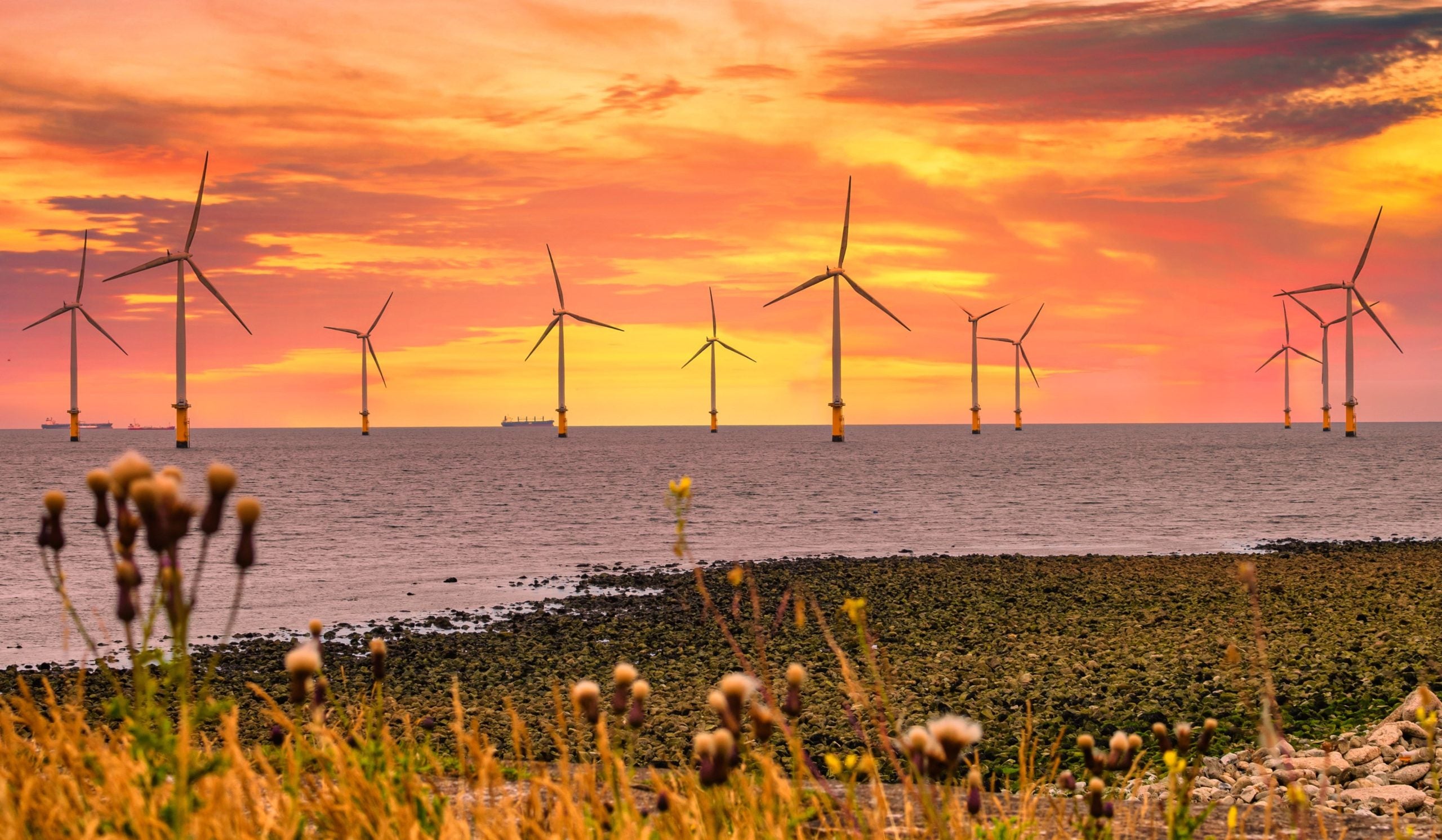 The UK general election and renewables? - Power Technology