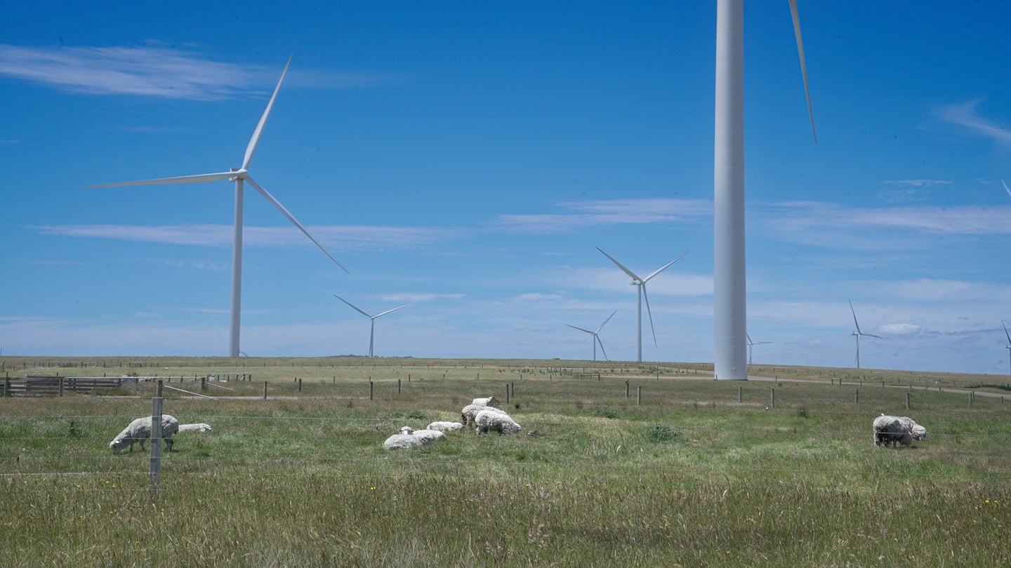 Golden Plains wind farm begins to supply to Victoria's grid
