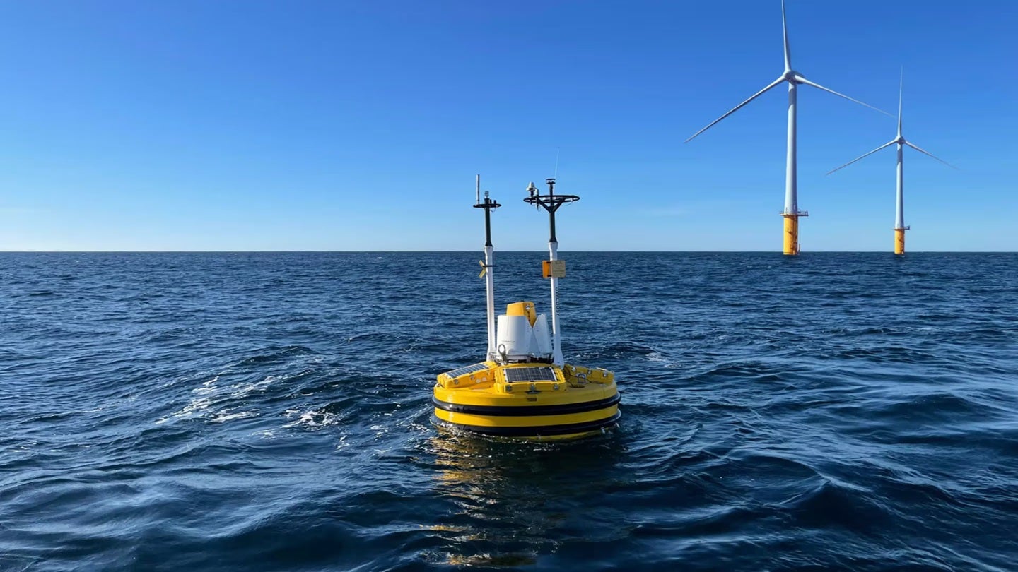 Fugro and Spoor develop AI bird-monitoring for offshore wind farms