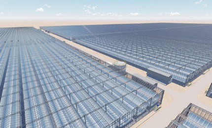 Miraah Solar Thermal Project - Power Technology