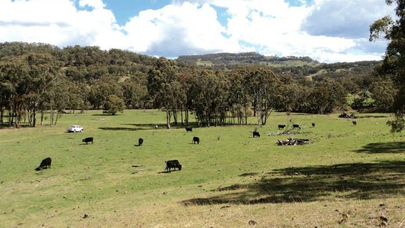 White Rock Wind Farm, New South Wales - Power Technology | Energy News ...